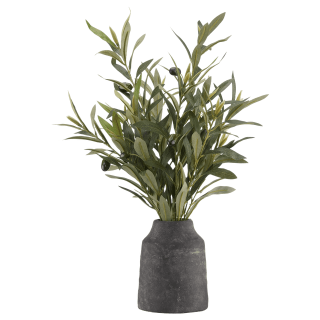 Bouclair Olive Tree in Ceramic Pot - Walmart.ca