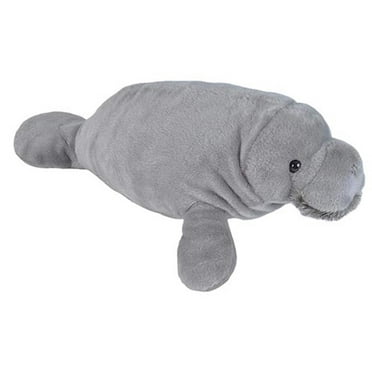 Cuddlekins Walrus Plush Stuffed Animal by Wild Republic, Kid Gifts, Zoo ...
