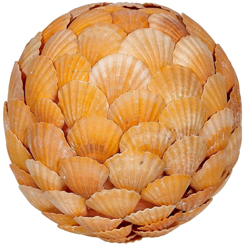 Decorative Orb Ball Orange Scallop Flat Shells Sphere Table Top ...
