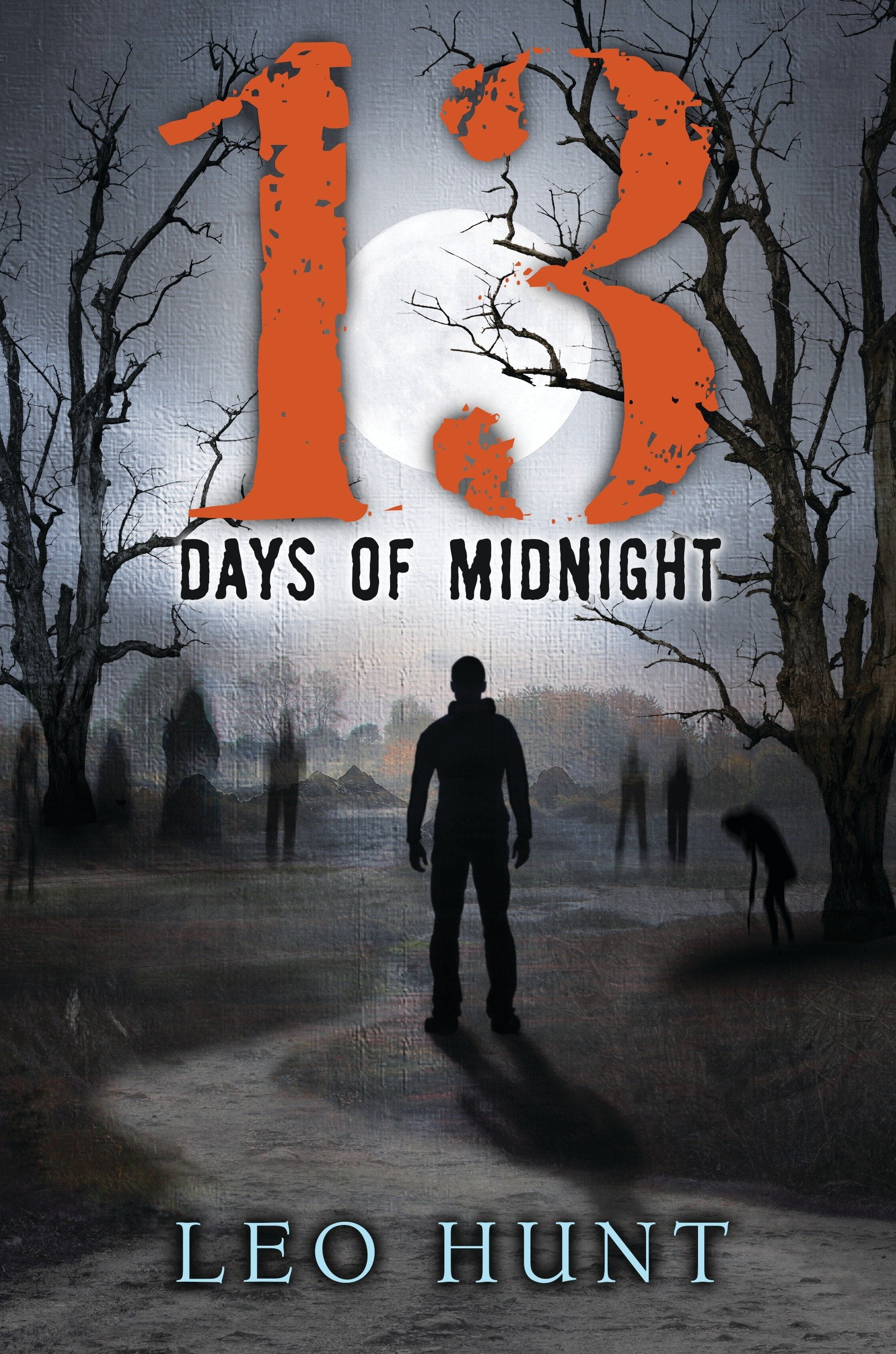 Thirteen Days of Midnight (Hardcover) - Walmart.com - Walmart.com