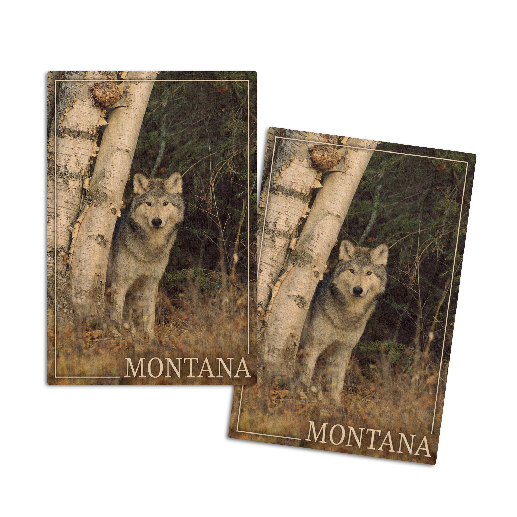 Montana, Wolf in Forest (4x6 Birch Wood Postcards, 2-Pack Stationary ...