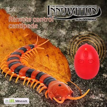 TB&W Remote Control Centipede Cat Interactive Toys with Egg Toys ...