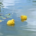 SPOORYYO Realistic Floating Ducks for Pond Decoration Pool Decor ...