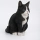 Hi-Line Gift Ltd. Sitting Cat Statue - Walmart.com