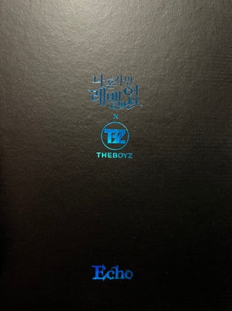 Pre-Owned The Boyz - Echo: Solo Leveling (Webtoon Soundtrack) (incl. Photobook, Photocard Full ...