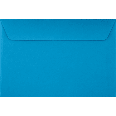 6 x 9 Full Face Window Envelopes - Wasabi (1000 Qty.) - Walmart.com