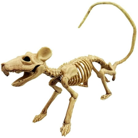 Xizioo Halloween Rat Skeleton Plastic Skeleton Bones Animal Simulator ...
