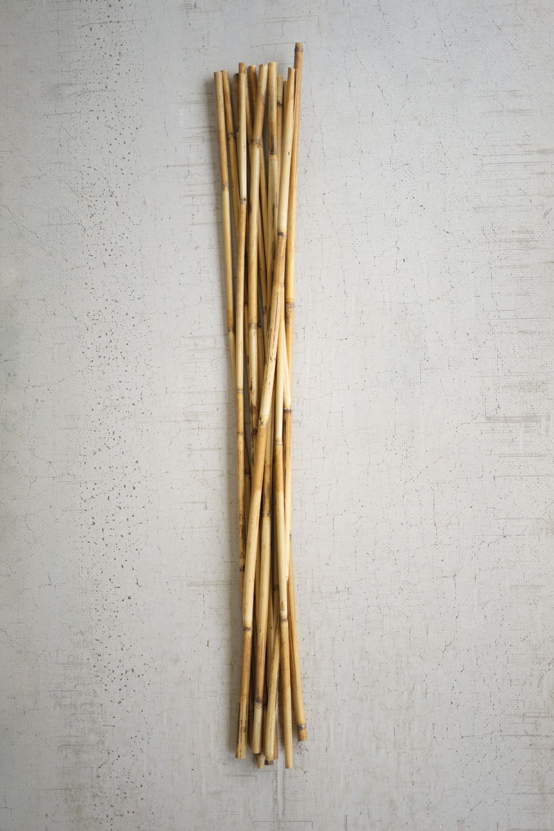 BUNDLE OF 12 BAMBOO STICKS - Walmart.com