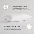 Sobel Westex Sahara Nights Pillow, Queen, Stomach & Back Sleeper, 233TC ...