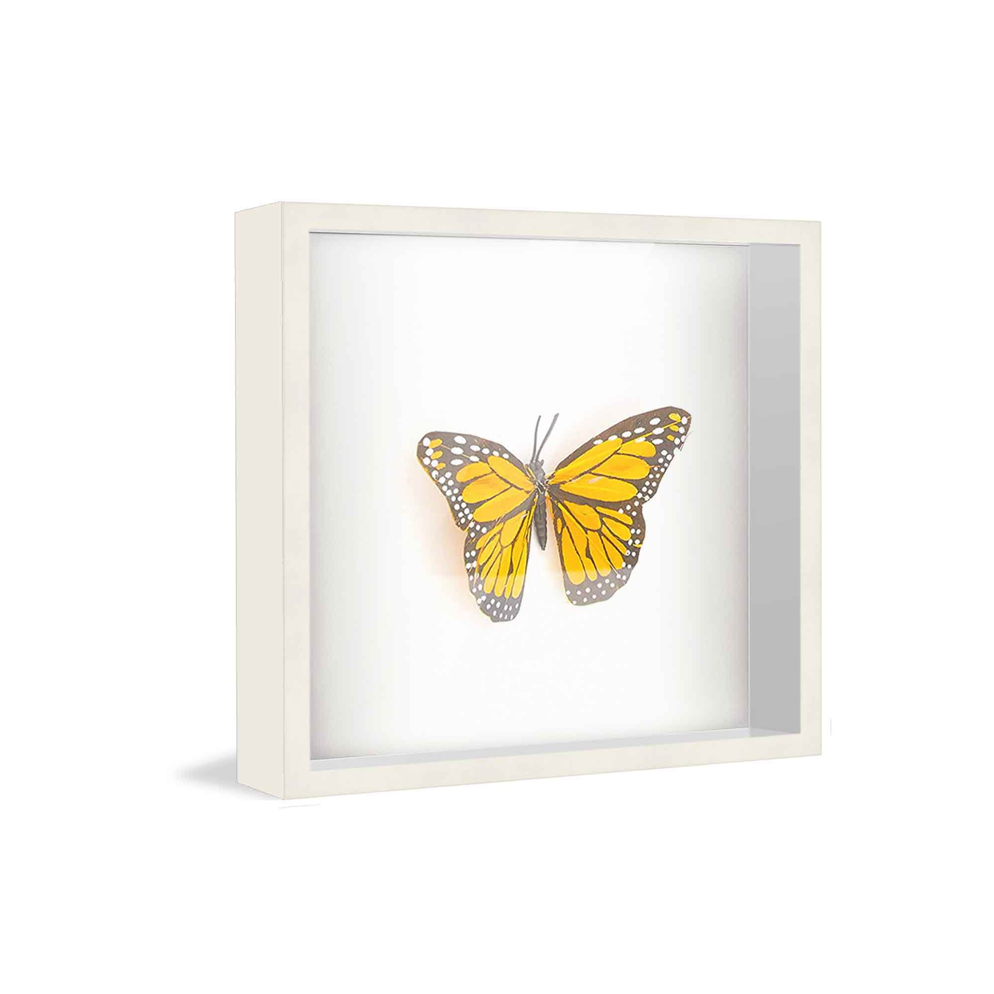 32x32 Shadow Box Frame White | 2 inches Deep Real Wood Contemporary ...