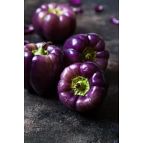 Purple Beauty Pepper Seeds to Plant - 100+ Seeds - Versatile Pepper for ...