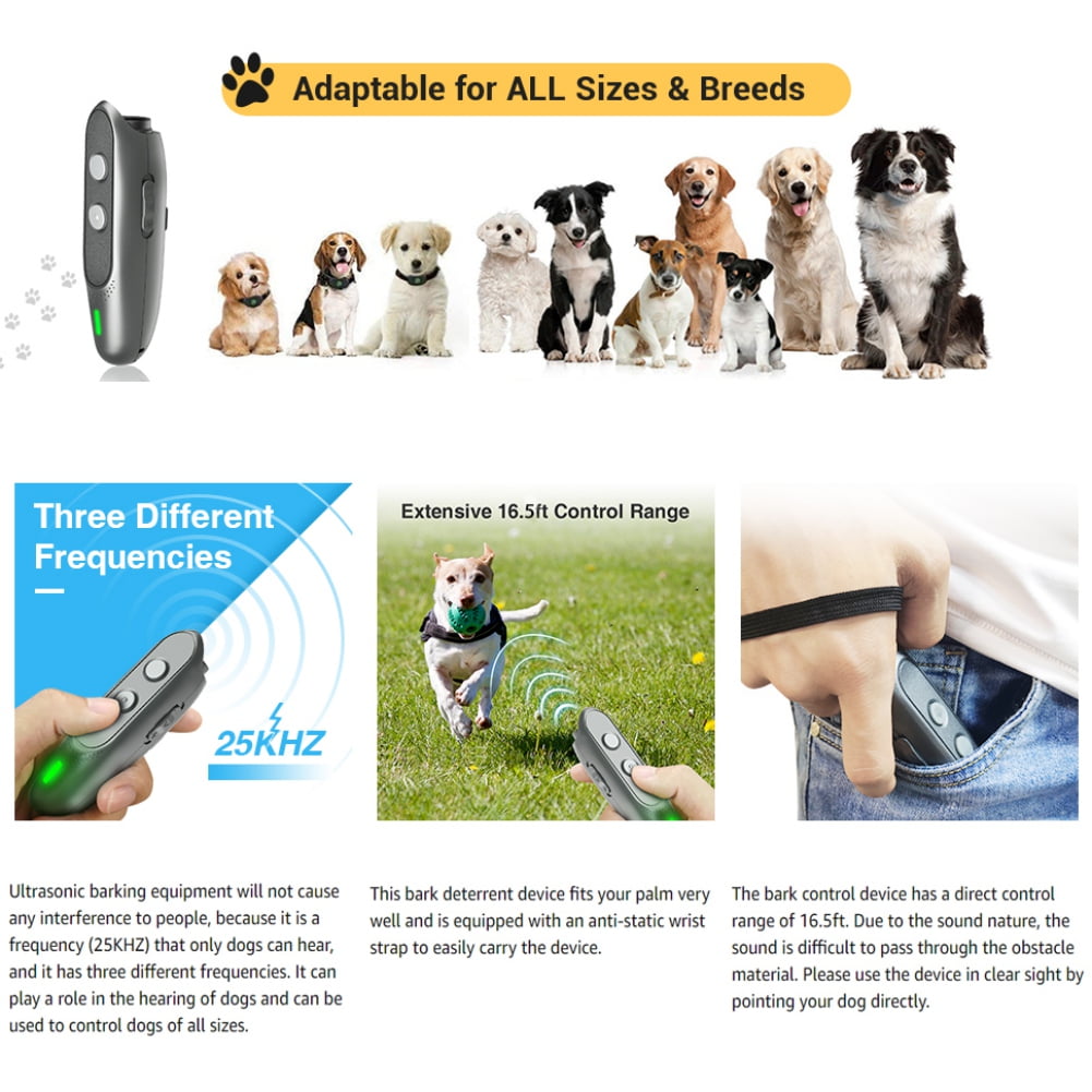 Dog Hearing Frequency