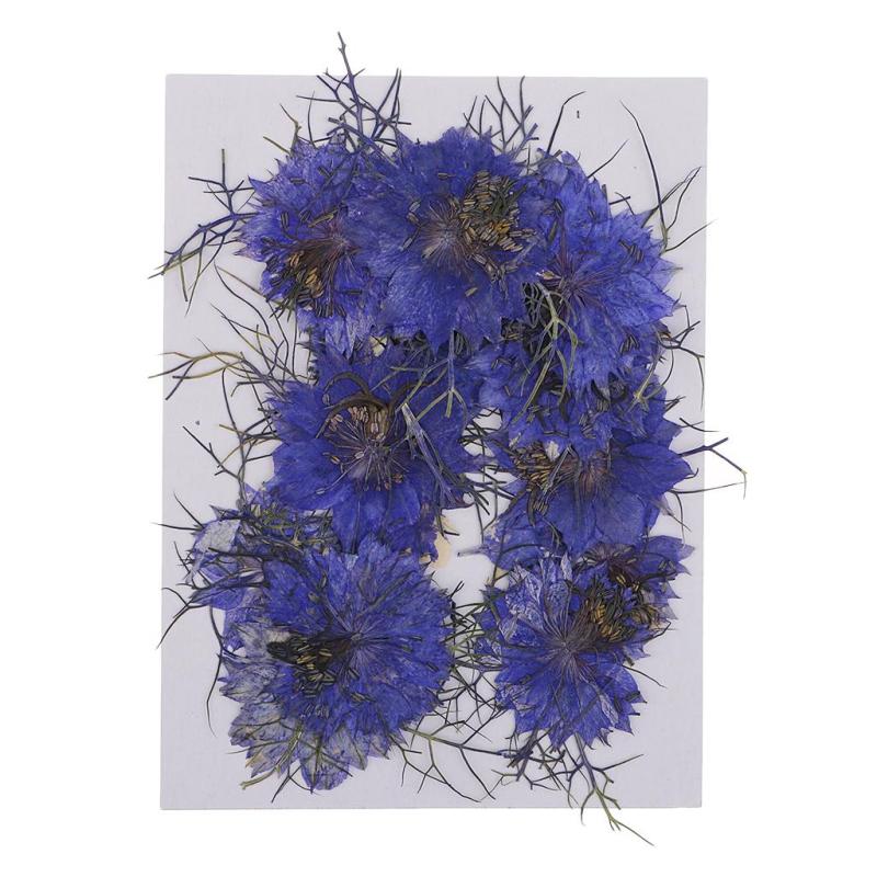 12 Pieces Pressed Real Dried Flowers -mist for Resin Ornament Making ...
