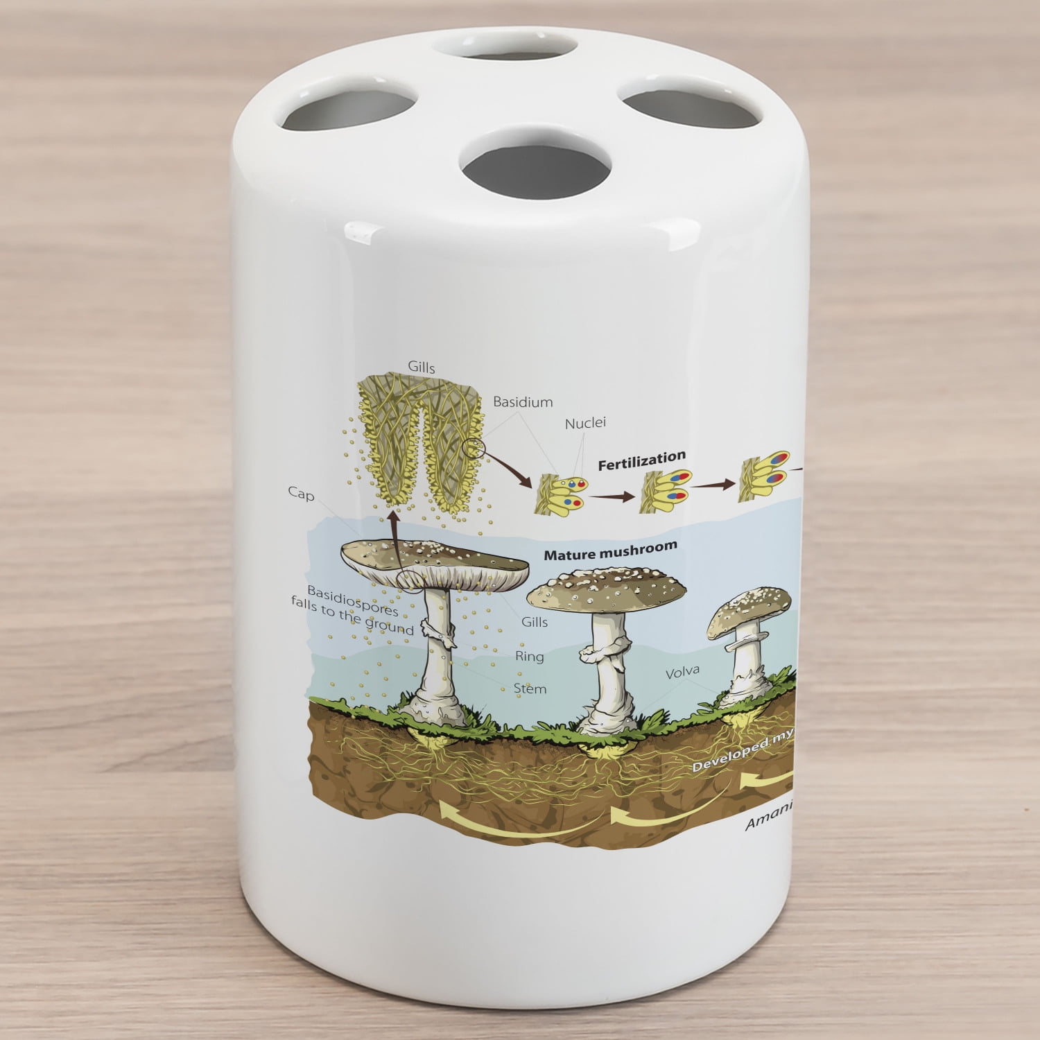 Biology Ceramic Toothbrush Holder, Life Cycle of Mushrooms Theme ...