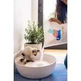 PrettyLitter Linnea Round Open Top Cat Litter Box with Non-Stick ...