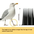OFFO Plastic Bird Spikes, Covers 6.67ft, Birds Repellent Keep Pigeon Crows Away, Black - Walmart.com