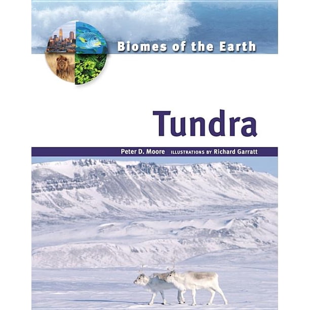 Tundra Food Chain
