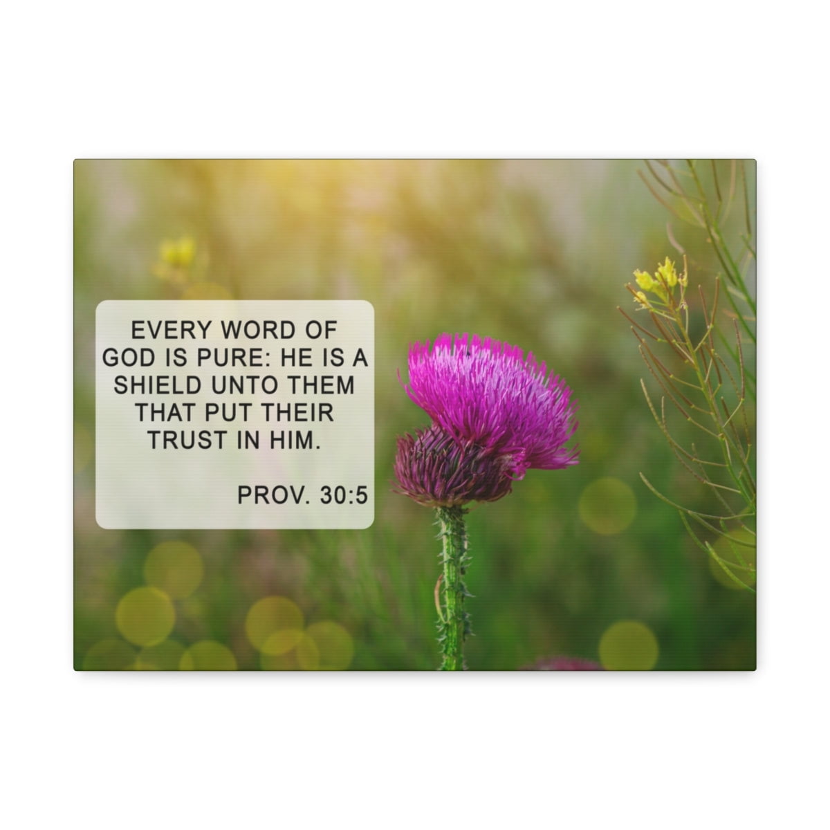 Scripture Walls God Is Pure Proverbs 30:5 Bible Verse Canvas Christian ...
