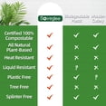 300-Pack Compostable Utensils: 100 Forks, 100 Spoons, 100 Knives. Heavy ...