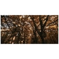 1.5-Inch Thick Canvas Print Wall Art for Living Room, Bedroom, Office ...