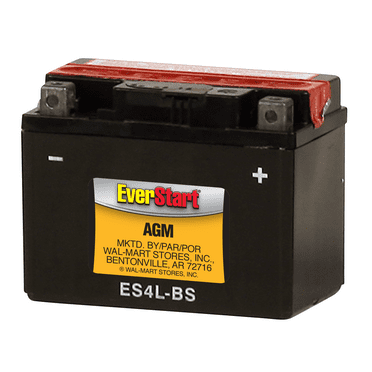 EverStart Lead Acid Marine & RV Deep Cycle Battery, Group Size 24DC (12 ...