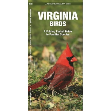 Pocket Naturalist Guides: Georgia Trees & Wildflowers: A Folding Pocket ...