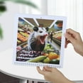 Xoiie 2026 Funny Screaming Possums Calendar - Possums Calendar Monthly ...