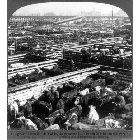 Scene In The Great Union Stockyards History (18 x 24) - Walmart.ca