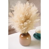 Home Decor Collection 16.5 " Pampas Dried Grass in Brown Ceramic Vase ...