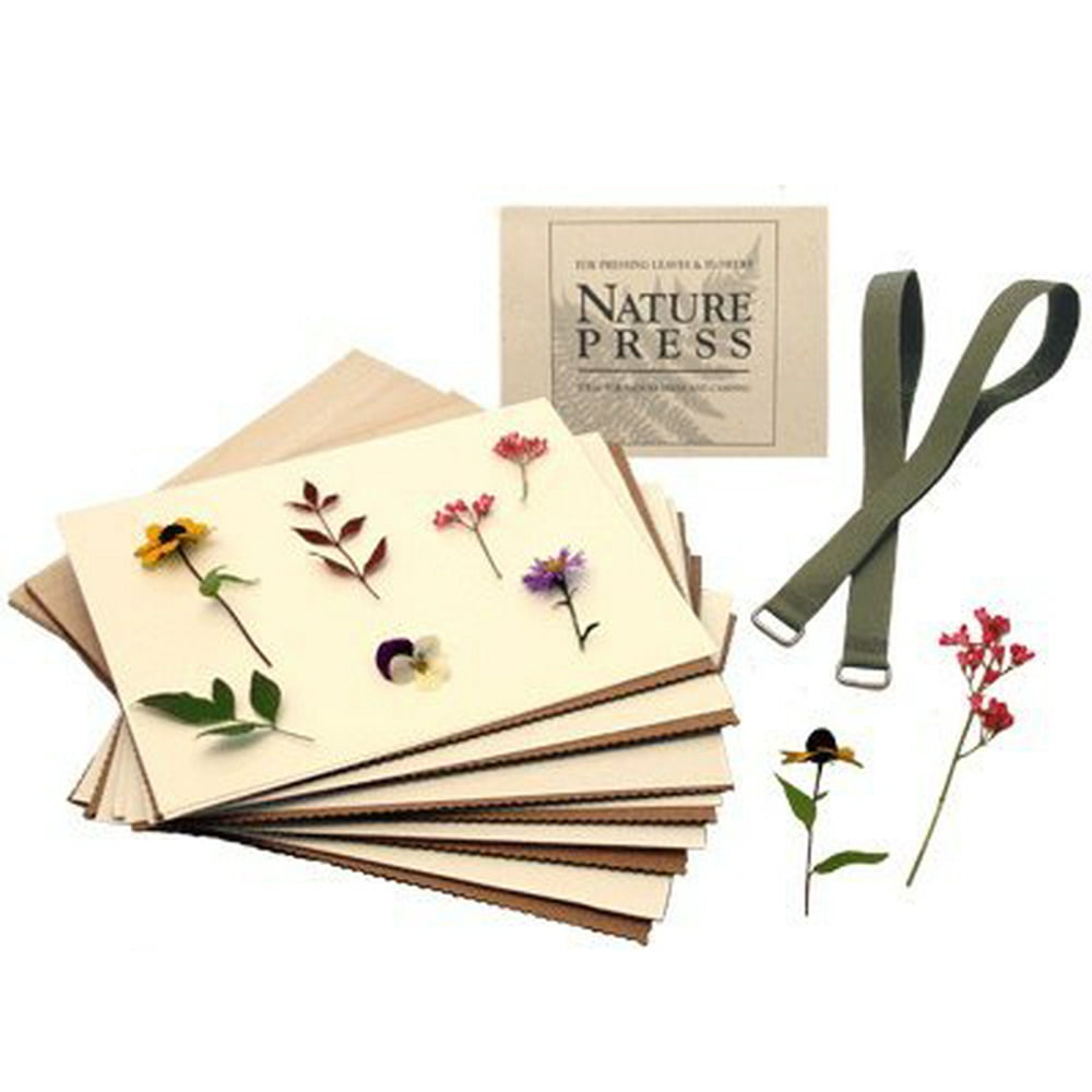 Natures Pressed Flower & Leaf Press 7 X 9 Nature Press (For Pressing ...
