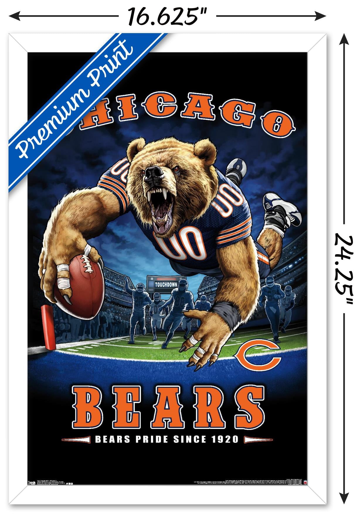 Chicago Bears Pride