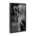 Baby Cow Face Black Framed Floater Canvas Wall Art, design by Amy ...