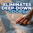ARM & HAMMER Pet Fresh Plus Hair Release Carpet Protector, Odor ...