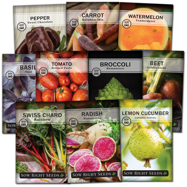 Exotic Vegetable Garden Seed Collection - Non GMO Varieties - 10 Count ...