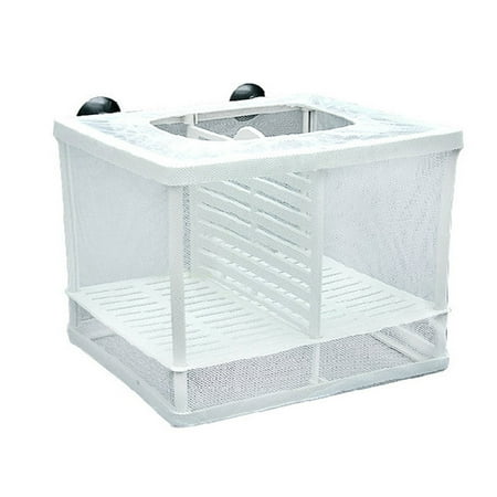 Isolation Mesh Box Suction Cup Design Fish Breeding Incubator Net ...