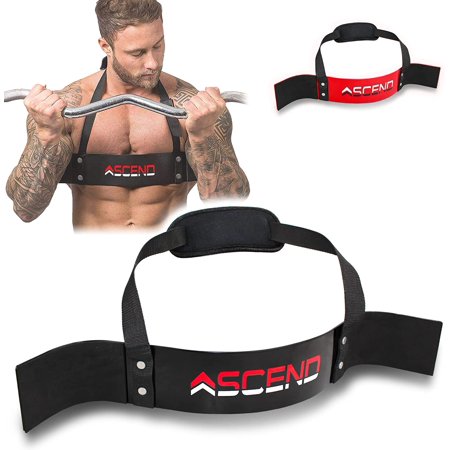 Ascend Arm Blaster with Adjustable Straps for Bicep Curls and Arm ...