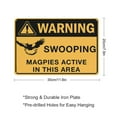 Warning Swooping Magpies Active In This Area Sign For Business 8"X12 ...