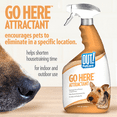 Out! Petcare Go Here Potty Training Attractant Spray, 32oz. - Walmart.com