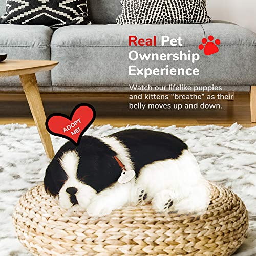 Click here for Perfect Petzzz Original Petzzz Border Collie  Real... prices