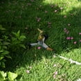 "Strongway Metal Impact Sprinkler, 85ft Dia Coverage, Durable Powder ...