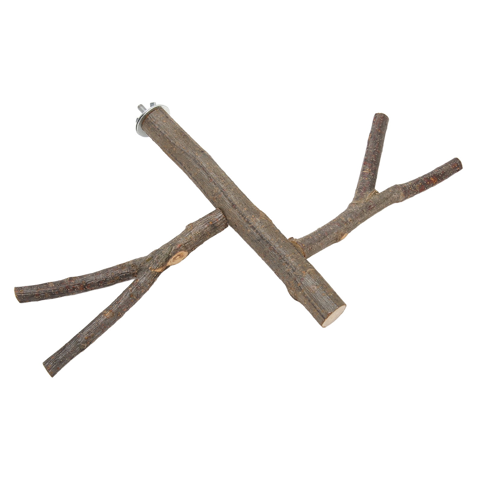 Perch Stand, Safe Stable Toxic Free Bird Branch Perch for Lovebirds for ...