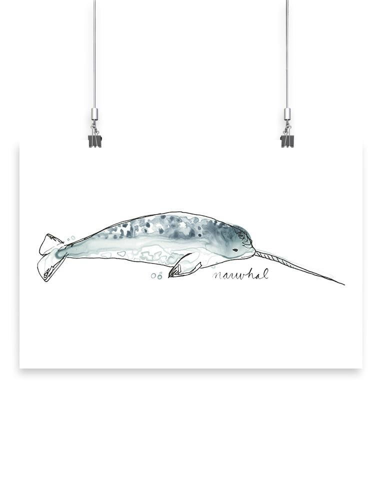 Cetacea Narwhal. Poster - June Erica Vess Designs, - Walmart.com