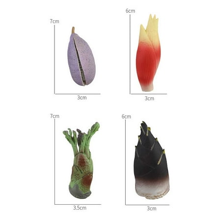 Amyove Life Cycle Fruit Vegetable Figurines Preschool Learning ...