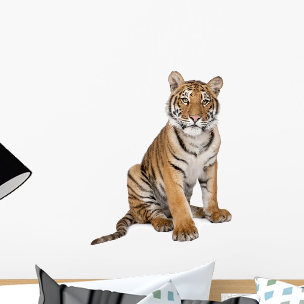 Portrait Bengal Tiger 1 Wall Decal by Wallmonkeys Peel and Stick ...