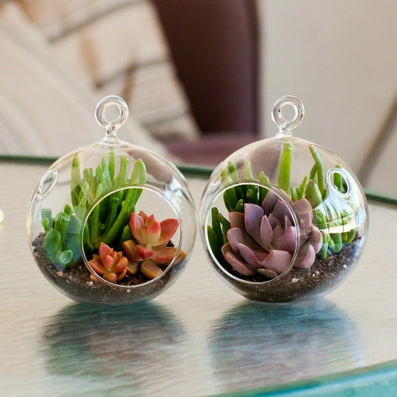 Glass Candle Globes