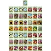 Deluxe Set of 25 Flower Seed Packets - 10 High Germination, Non-GMO ...