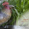 Alpine Corporation 20" Tall Metal Rooster Fountain, Multicolor ...