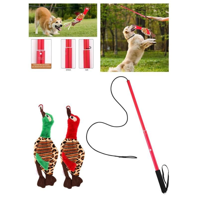 Buy Interactive Dog Wand Toy Stick Catcher Cat Kittens Chase Boredom ...