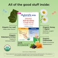 Hyland's Kids Organic All-in-One Cough Syrup, Ages 1-12, Day & Night ...