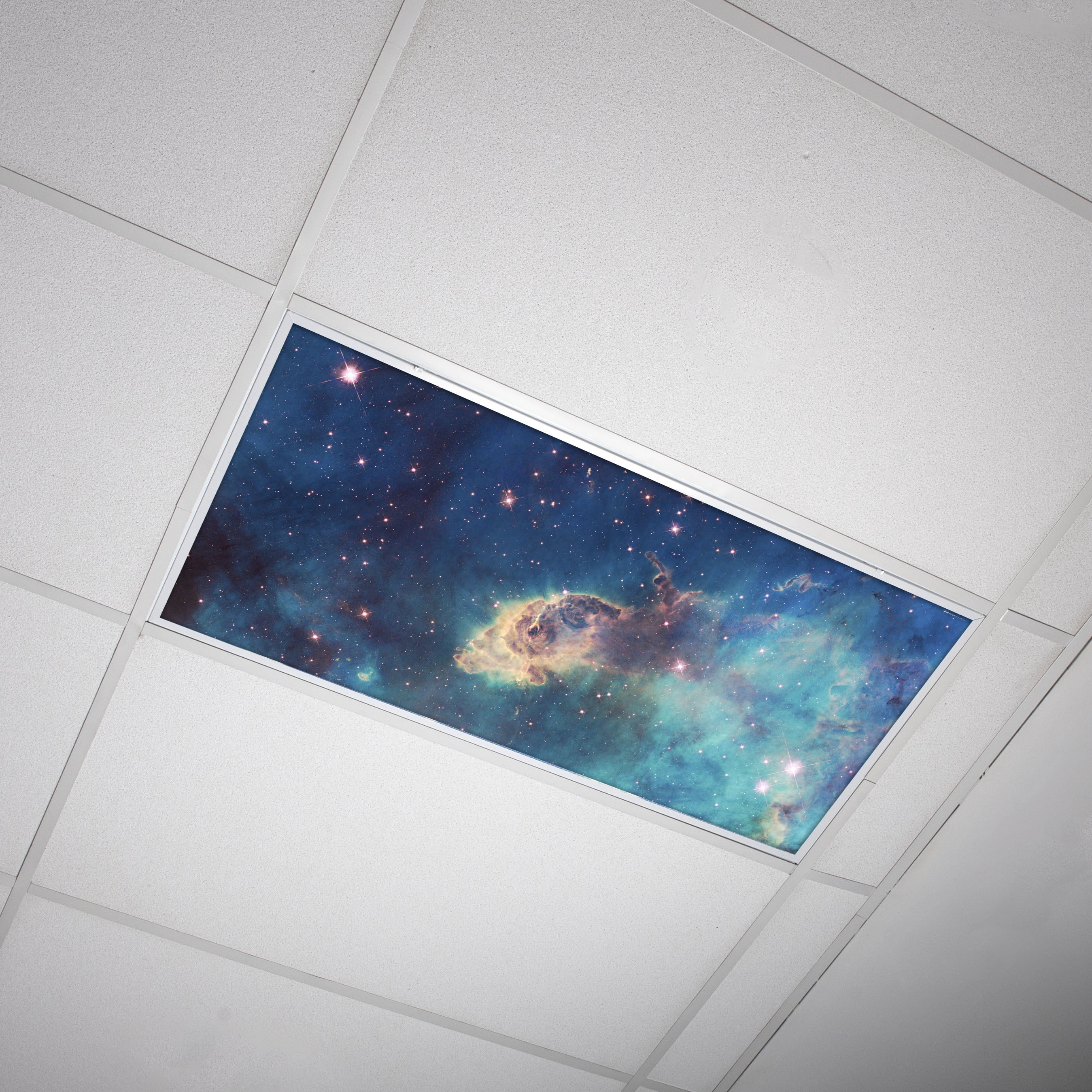 Octo Lights - Fluorescent Light Covers - 2x4 Flexible Ceiling Light ...